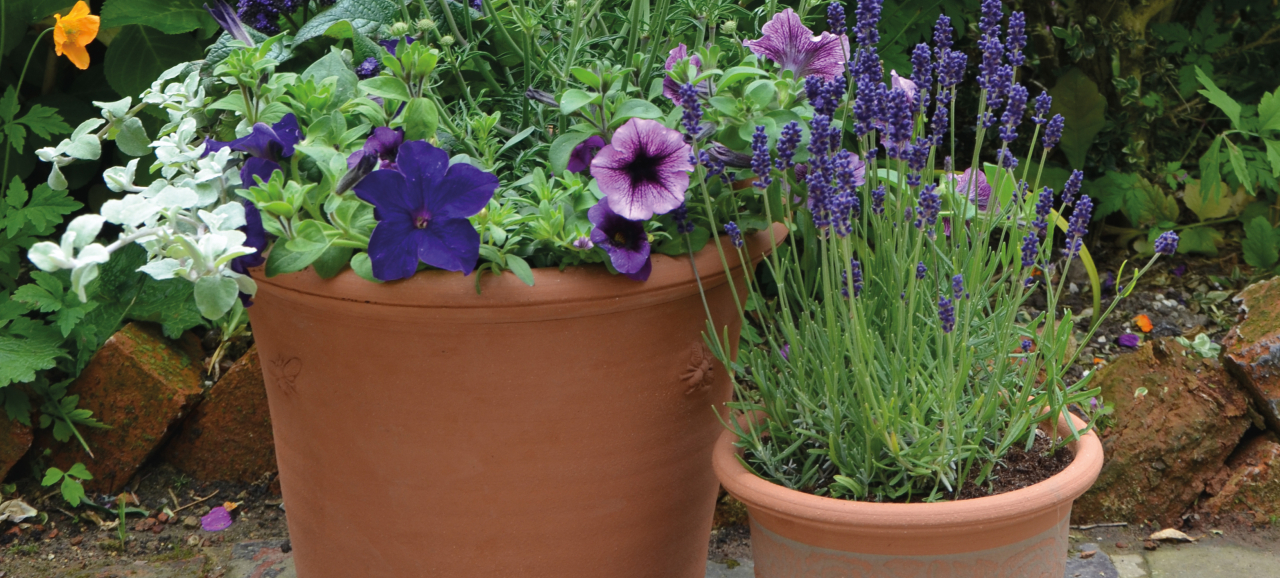 Handmade British Frostproof Flowerpots | Whichford Pottery