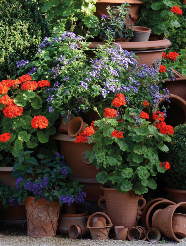 Handmade British Frostproof Flowerpots | Whichford Pottery