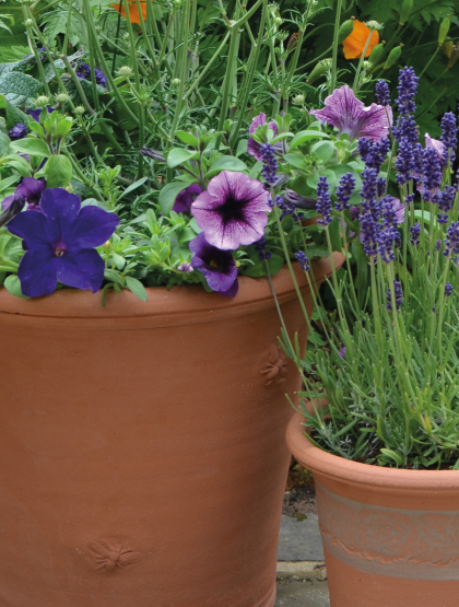 Handmade British Frostproof Flowerpots | Whichford Pottery