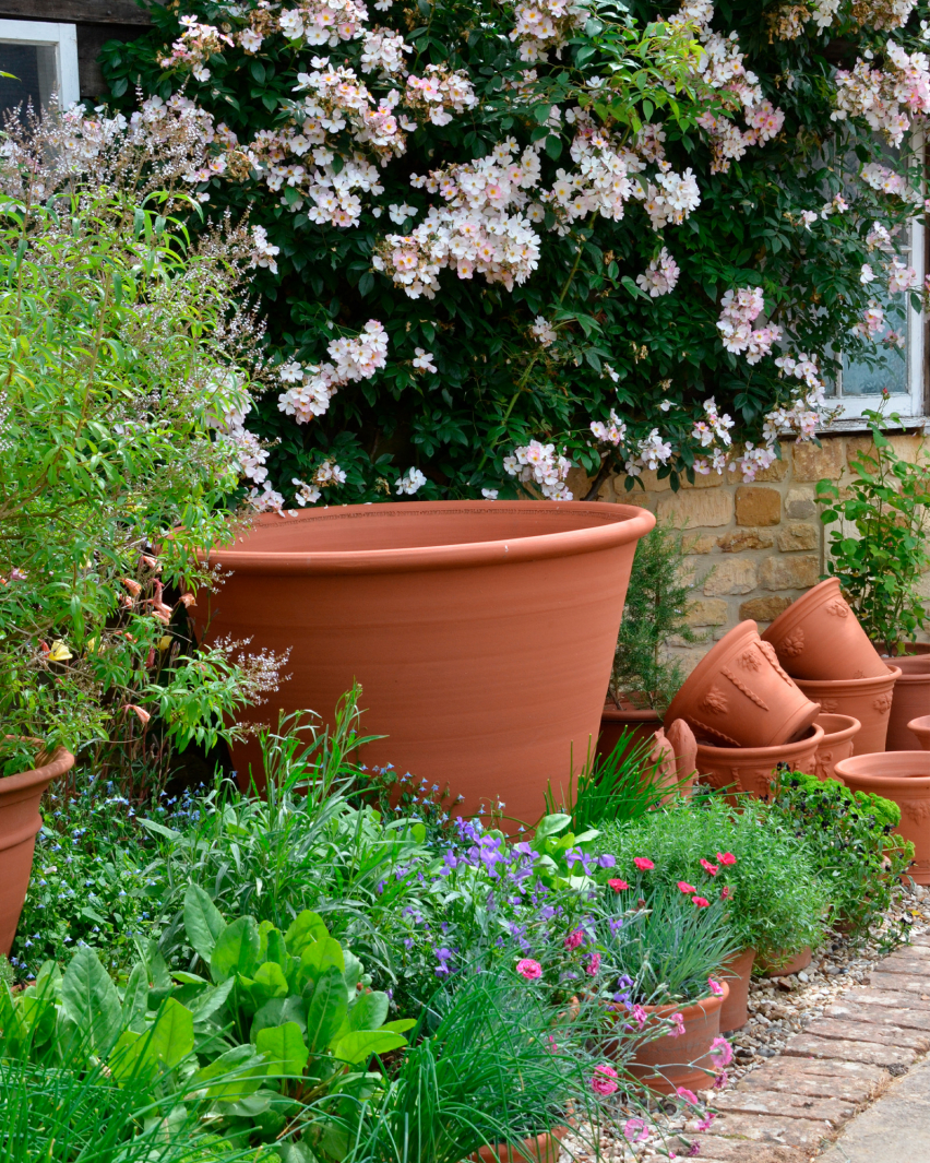 Whichford Pottery | Whichford Pottery
