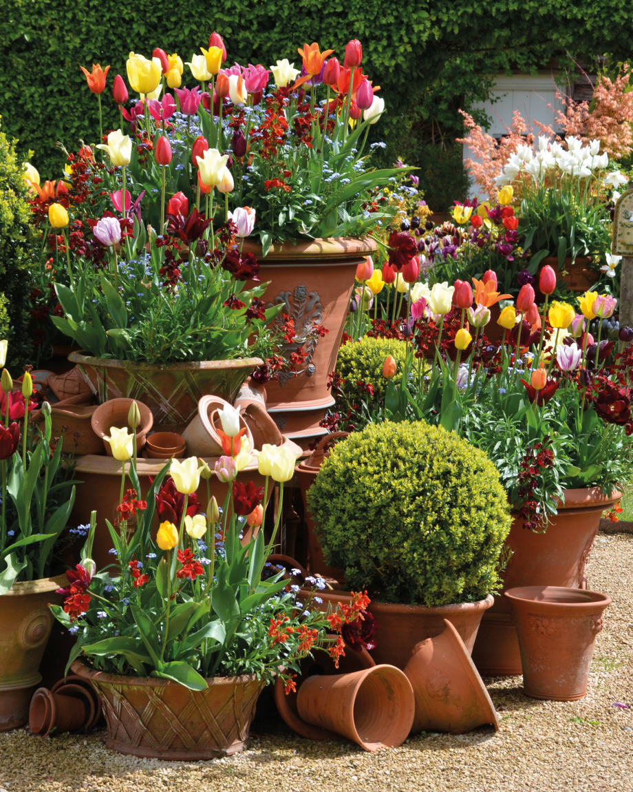 Pots & More | Whichford Pottery