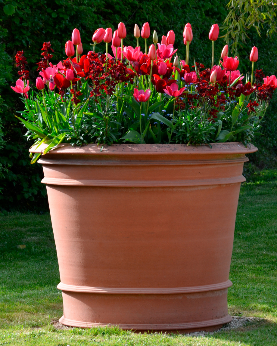 Pots & More | Whichford Pottery