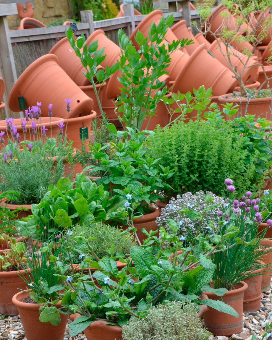 Pots & More | Whichford Pottery