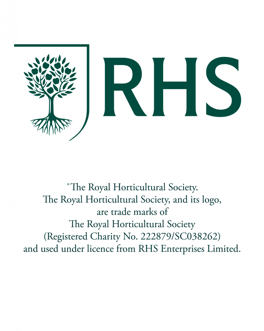 RHS Foxglove Flowerpot