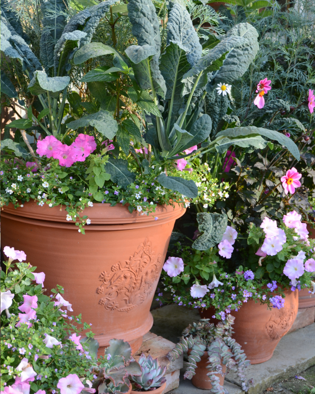 Pots & More | Whichford Pottery