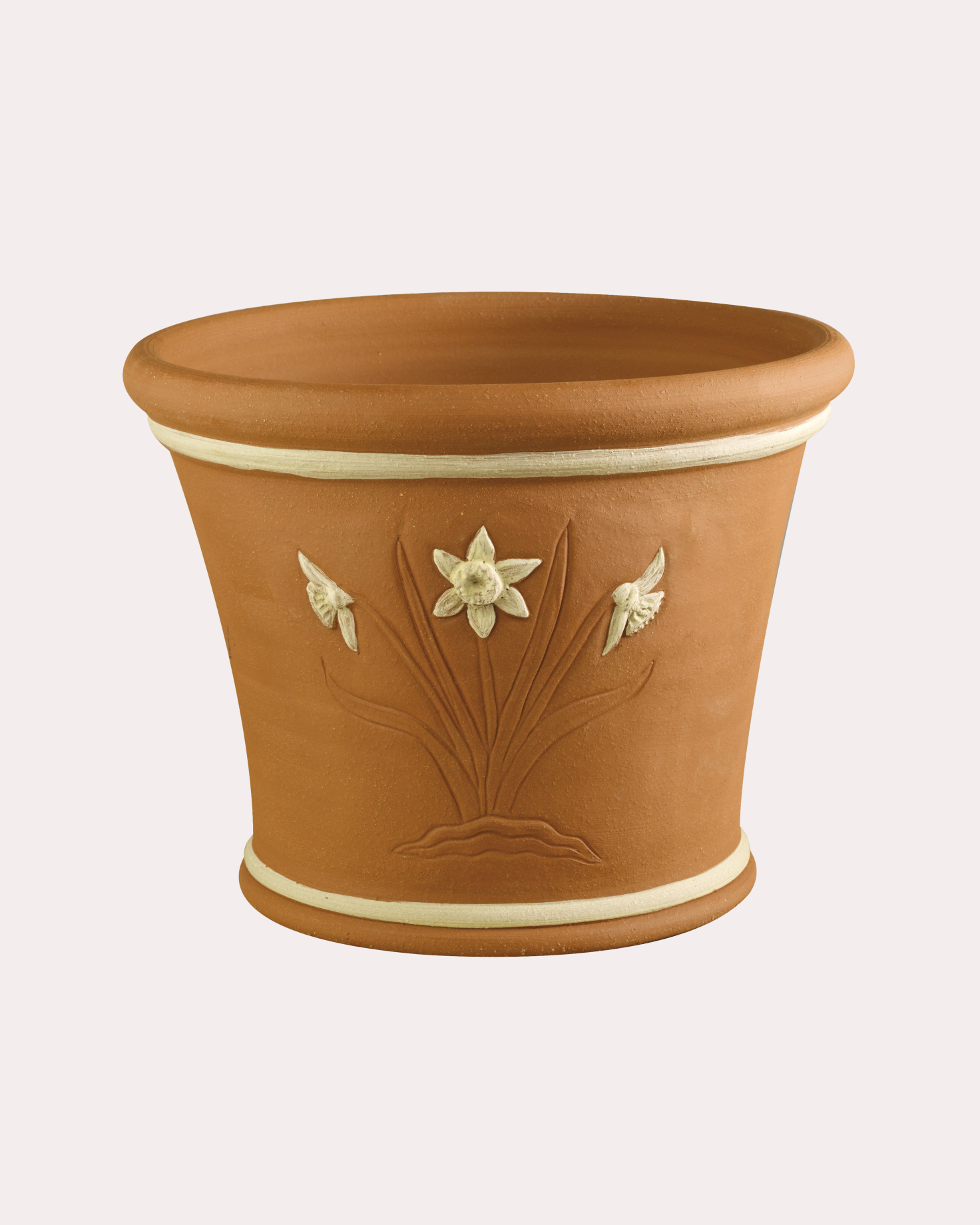 Daffodil Planter