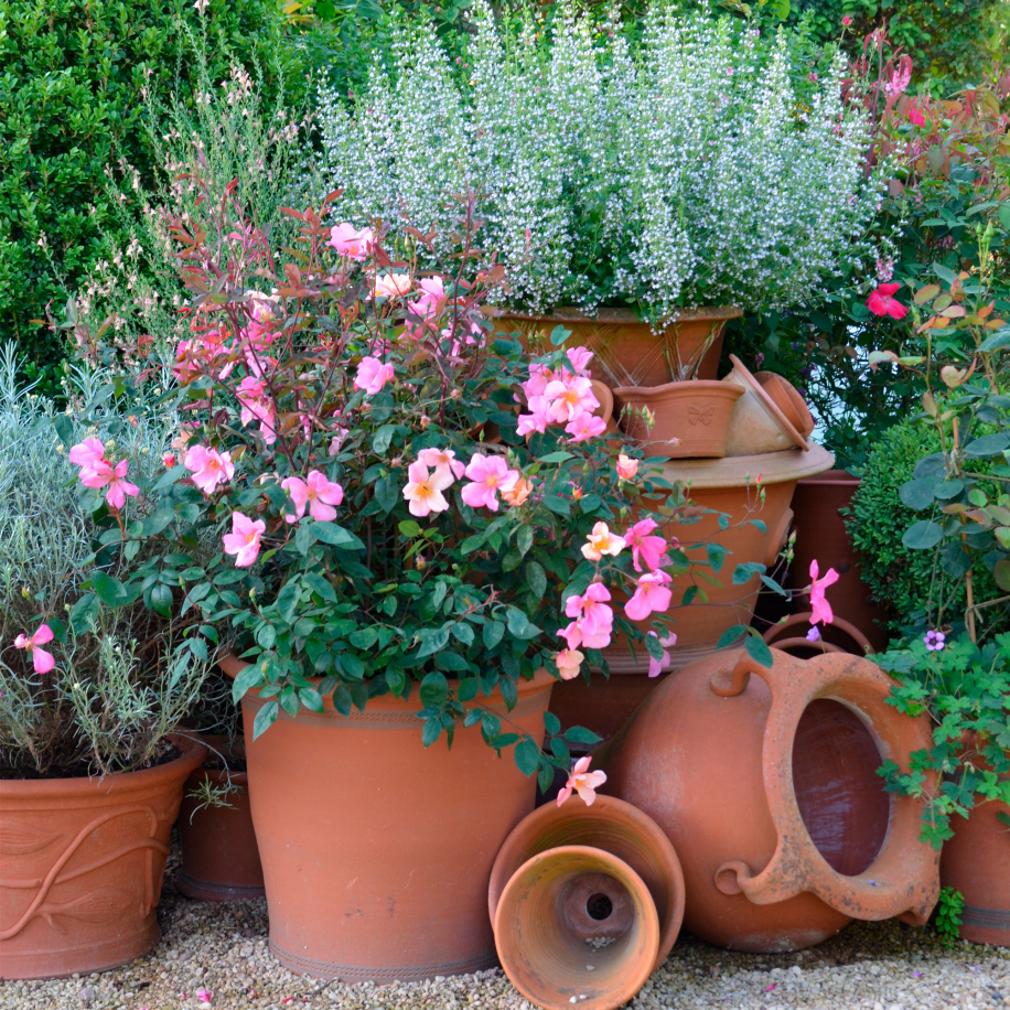 Whichford Pottery | Whichford Pottery