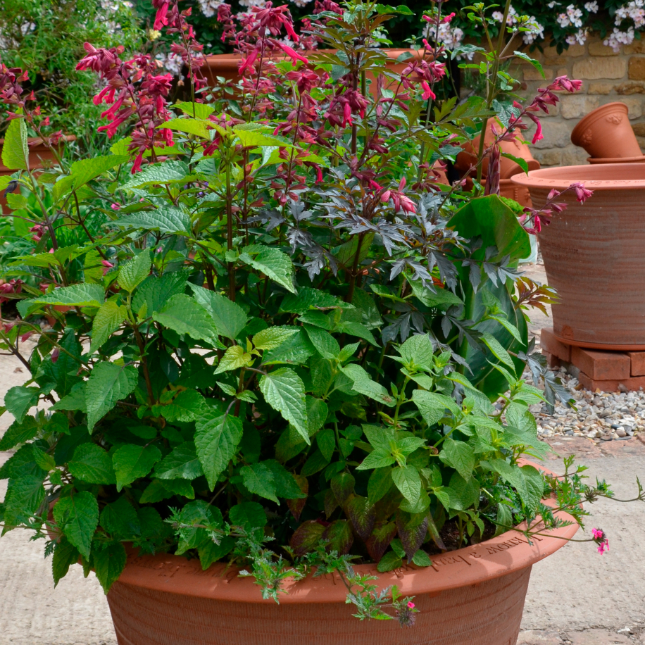 How We Make Our Pots | Whichford Pottery