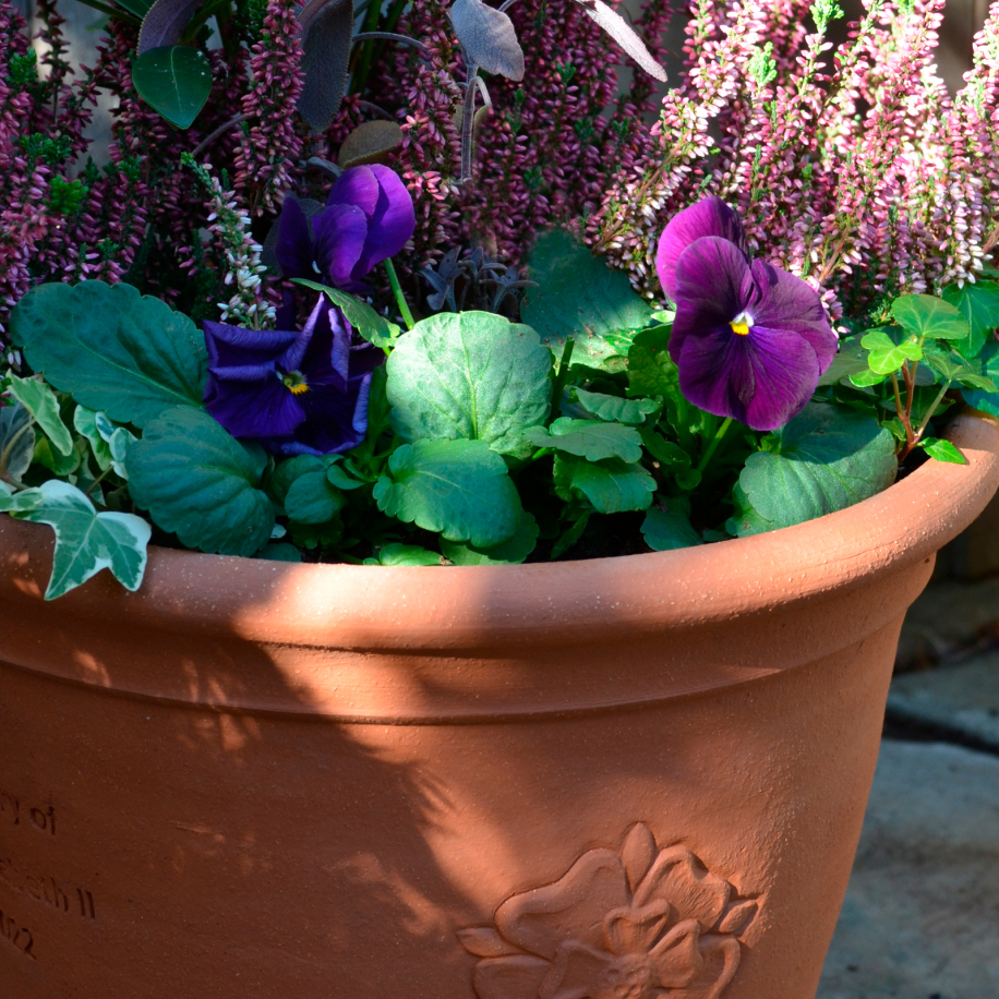 Handmade British Frostproof Flowerpots | Whichford Pottery