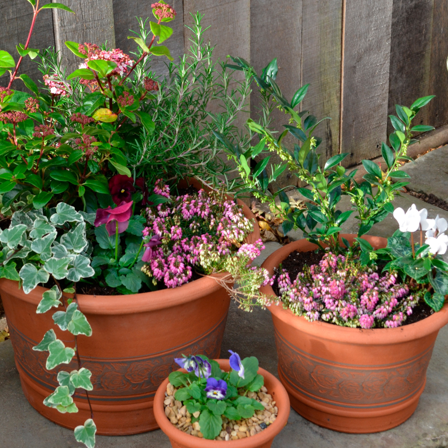 Handmade British Frostproof Flowerpots | Whichford Pottery