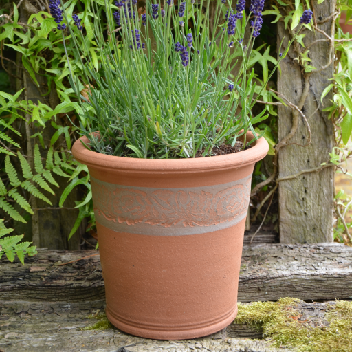 Handmade British Frostproof Flowerpots | Whichford Pottery