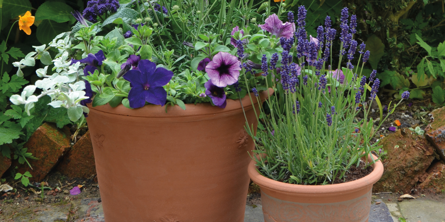 Handmade British Frostproof Flowerpots | Whichford Pottery