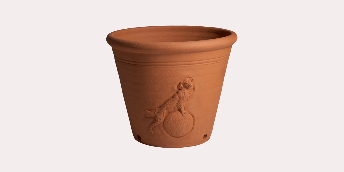 Monty Don Dog & Paw Pot